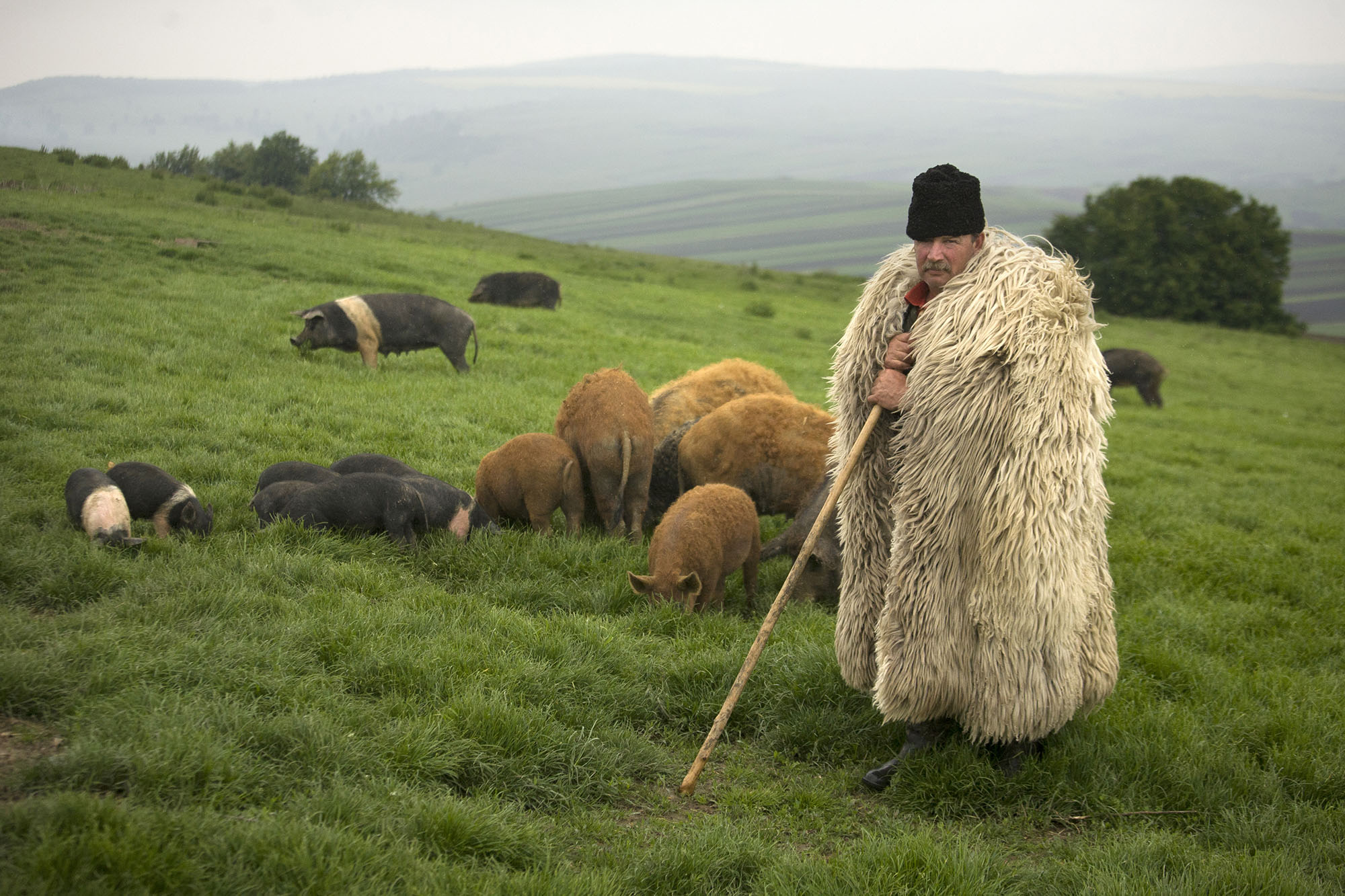 ROMANIA: La lista di Hüsch. Storia dei sassoni di Romania - East Journal